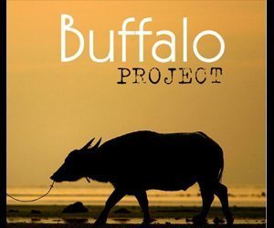 มารู้จักกับ “Buffalo Project” ที่พกซิงเกิ้ล “คลั่ง” มาให้ทุกคนได้ฟังกัน ...