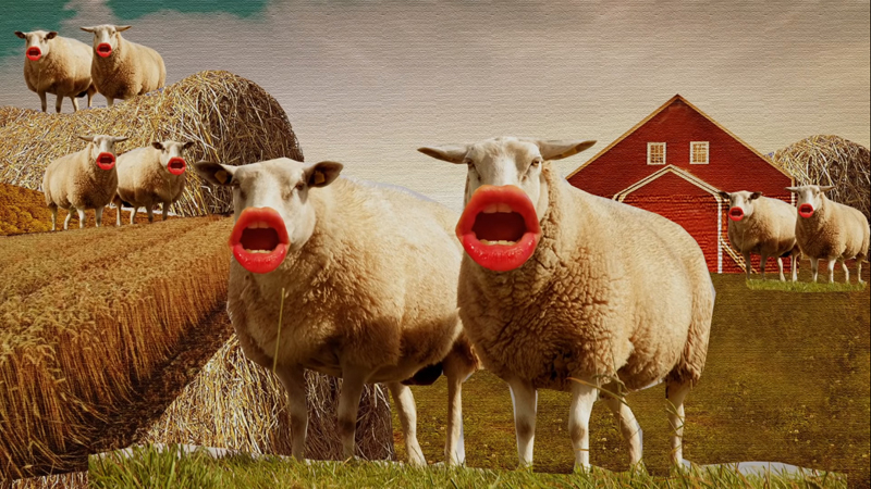 THE RICHMAN TOY ส่งเพลงสะท้อนสังคมแบบน่ารักๆ กับ “ใครๆ ก็ทำกัน” ที่ได้ ...